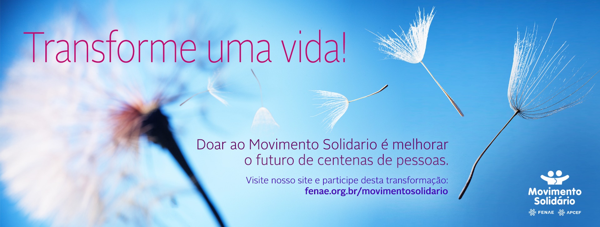 Fenae Federação | Fenae Portal